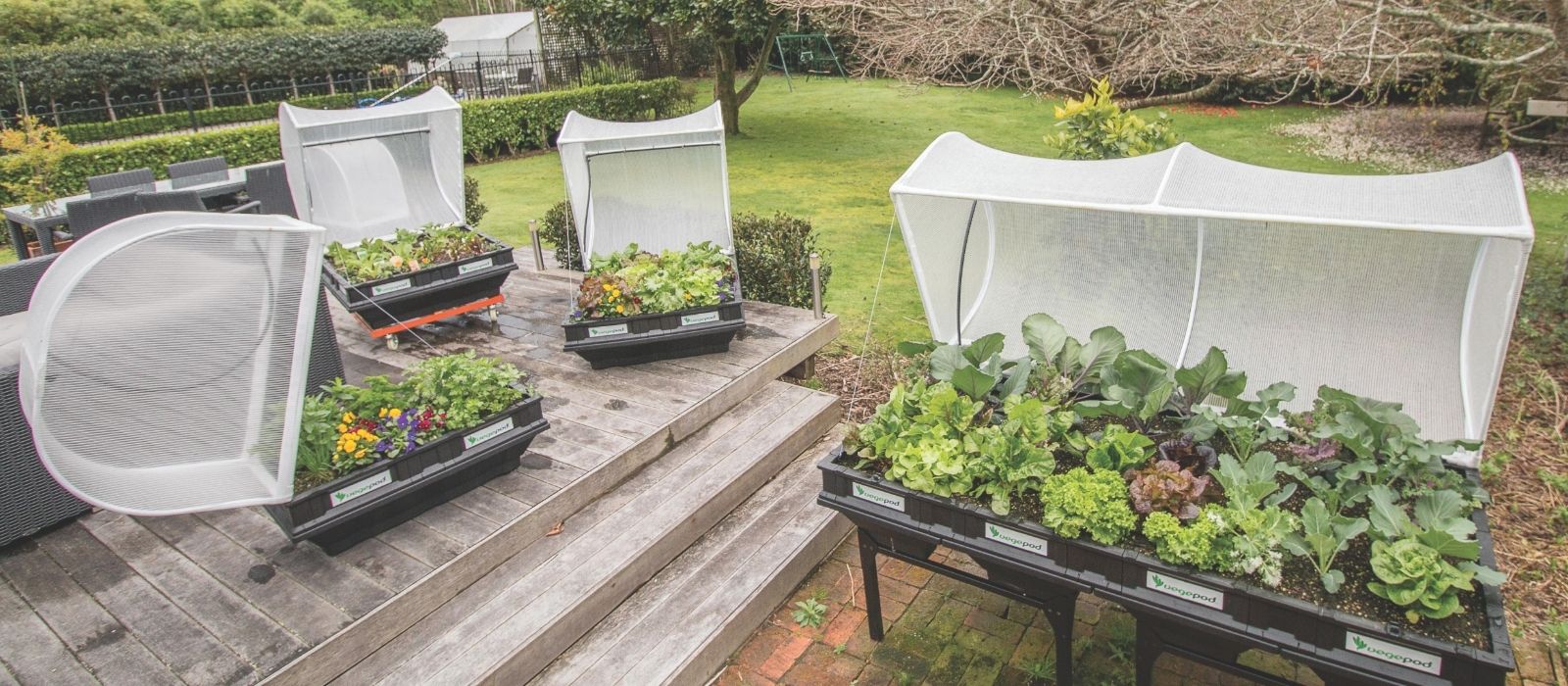 Oderings Garden Centres | Vegepod Grow Fresh Food Effortlessly